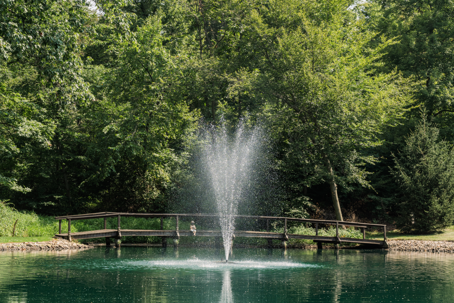 RHP 6026 Series Pond Fountain | The Fountain Guys