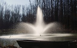 FAQs - The Fountain Guys